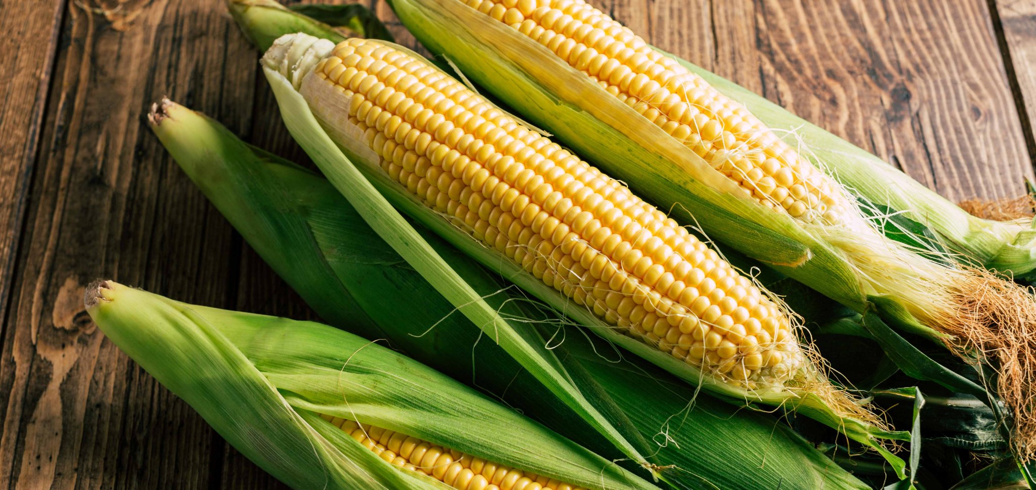 The History of Corn That's Got the World All Ears - Walking Mountains ...